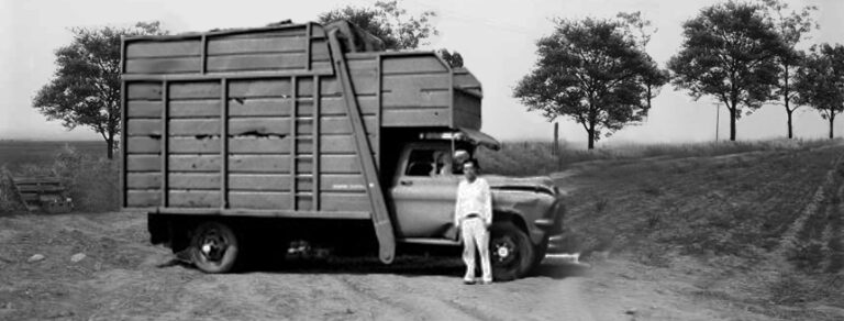 History - CR&R Environmental Services